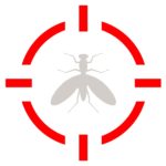 Pest Control Long Island | Exterminator Long Island NY – Pest Control ...