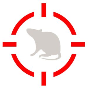 Pest Control Long Island | Exterminator Long Island NY – Pest Control ...