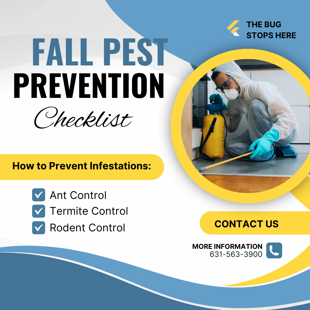 10 Ways to Prevent Pests from Invading Your Indoor Space this Fall