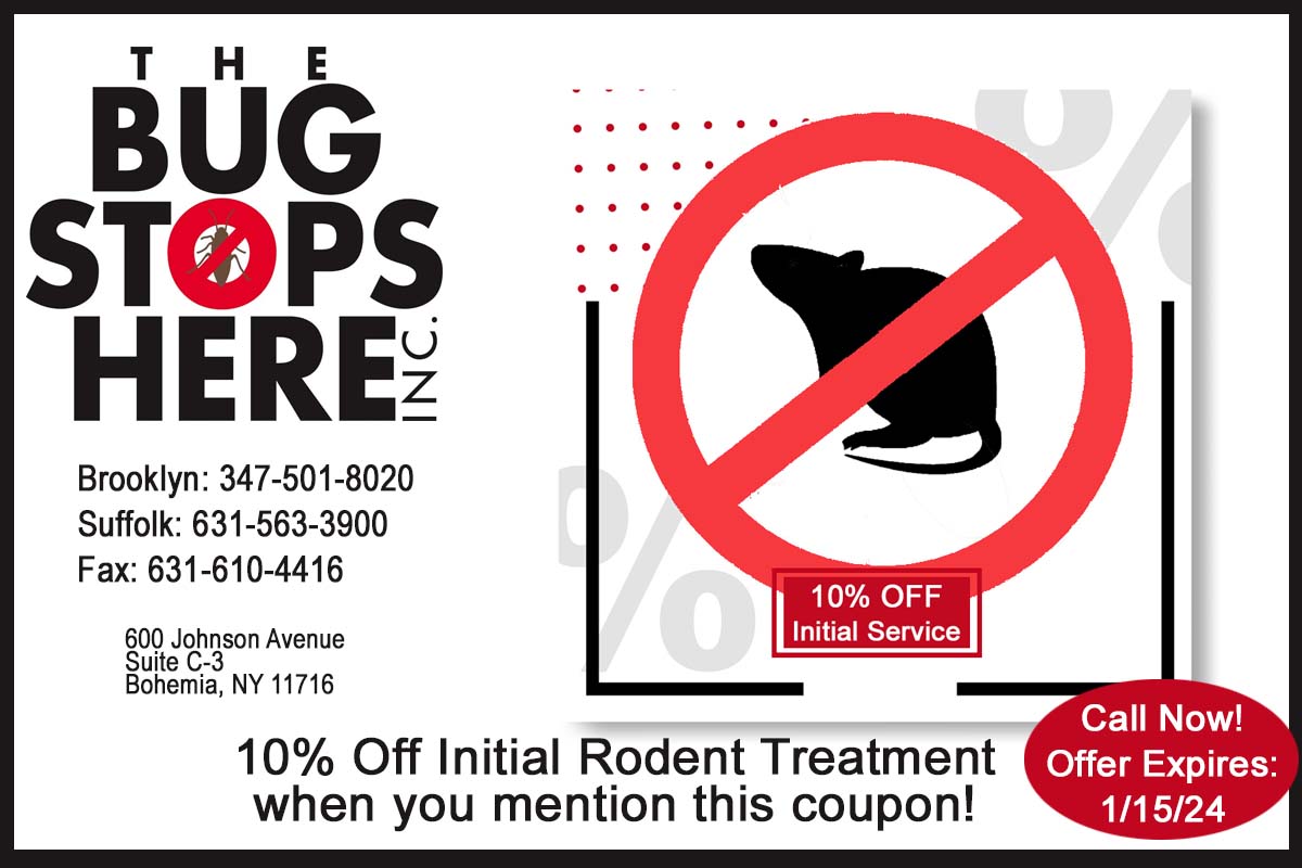 Check Out Our Latest Coupon Offerings from The Bugs Stop Here